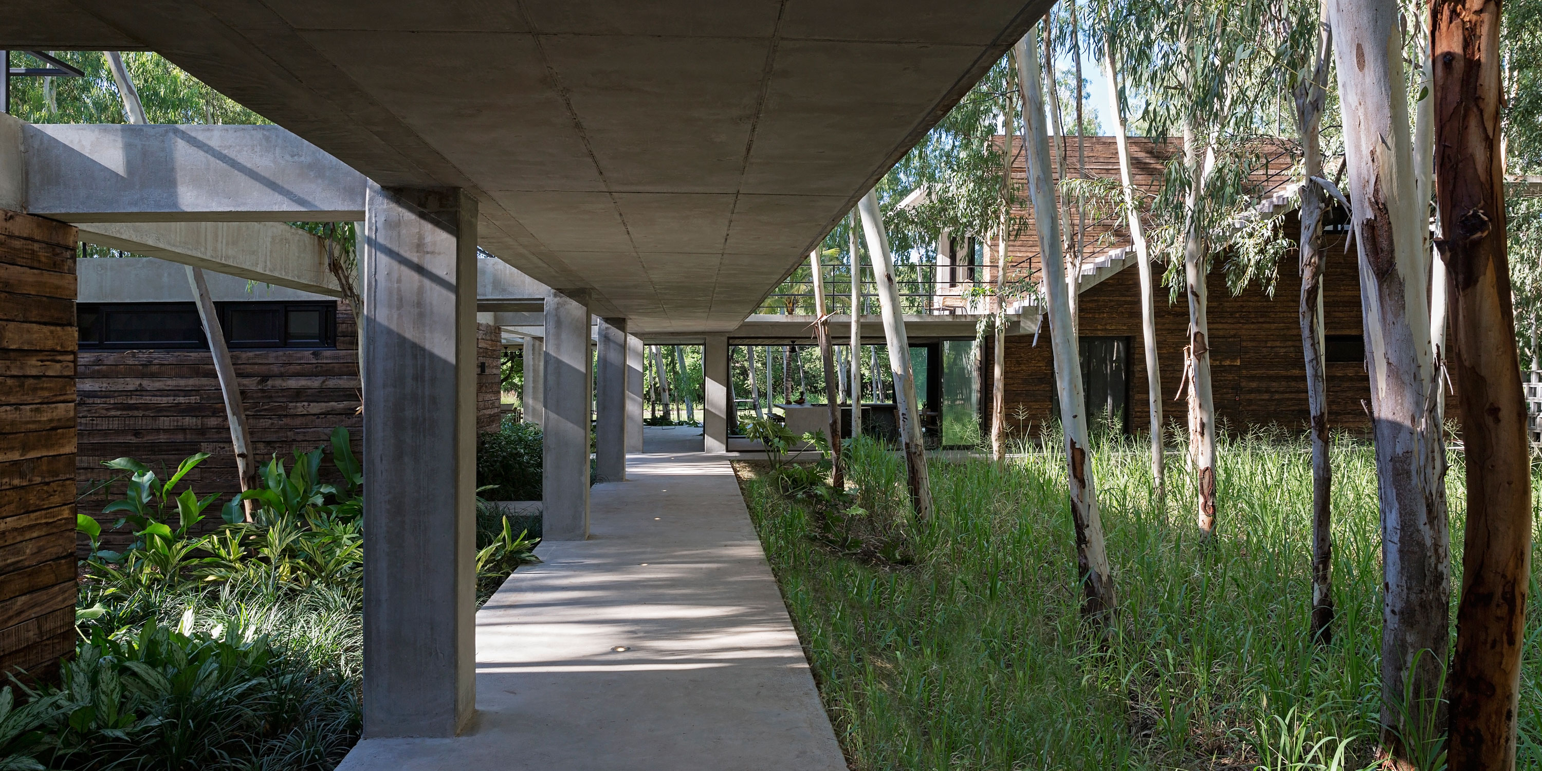 Projects | Carlos Ayala